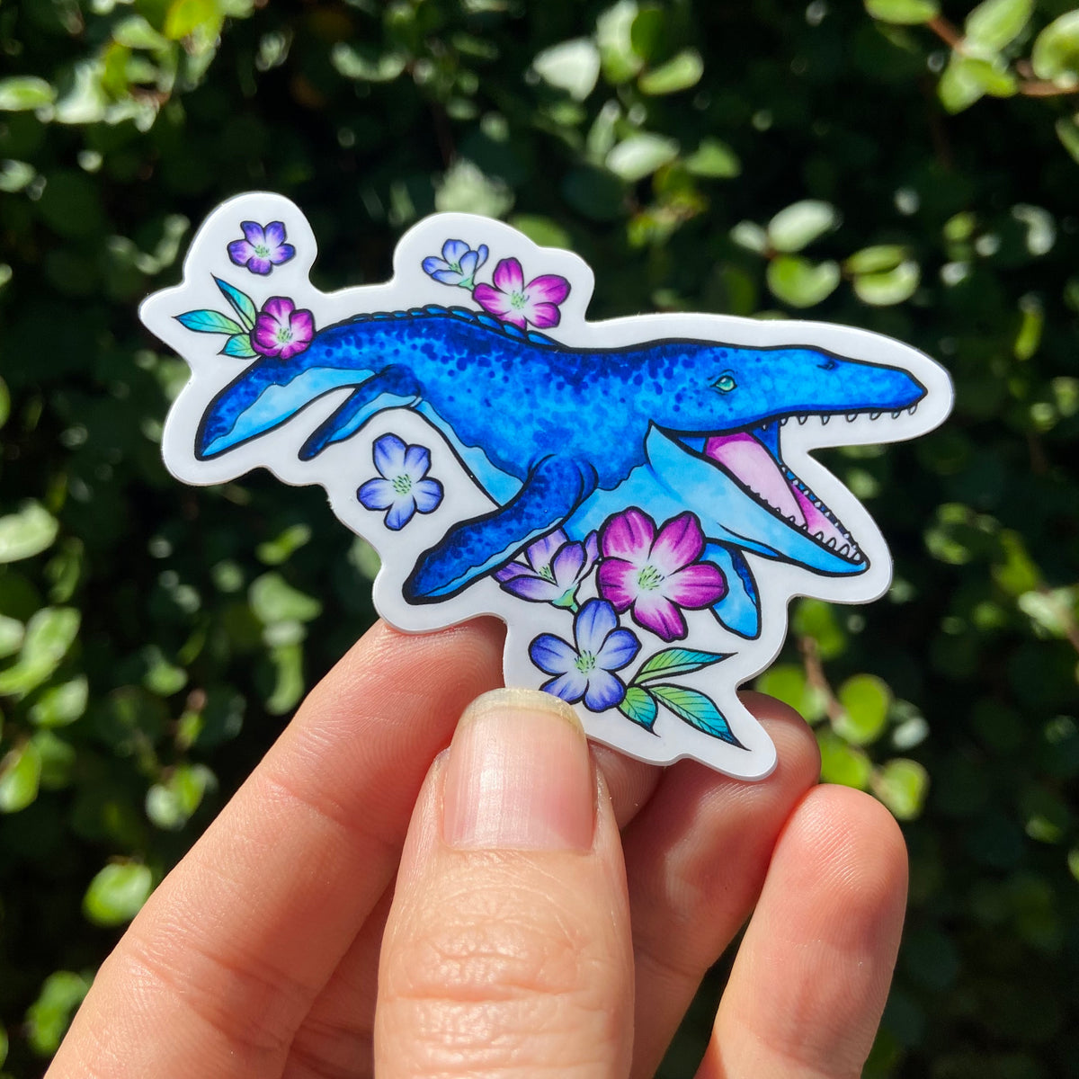 Mochi Mosasaurus Sticker – The Dinoverse